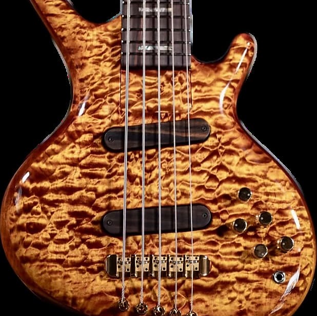 Ritter Roya 2021 - Quilted maple | Reverb