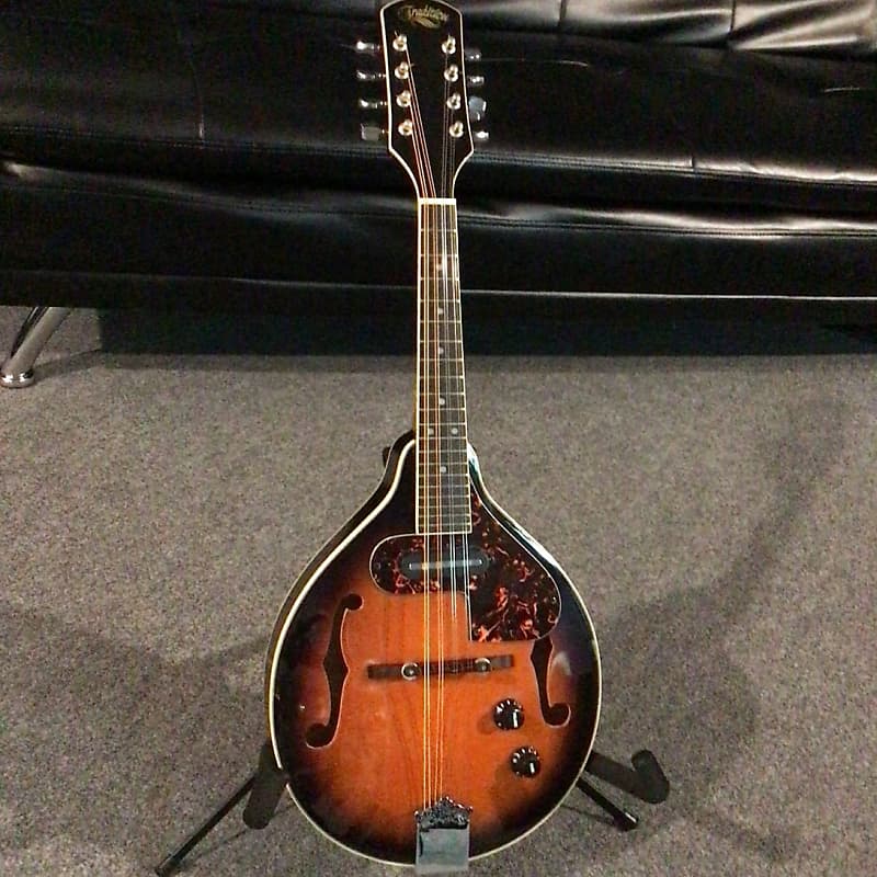 Tradition M401 Mandolin with Electric Pickup and | Reverb Canada