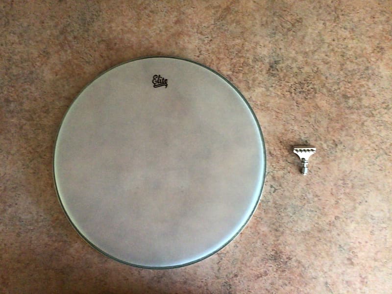 Elite 11” high crown banjo head- No Knot tailpiece 2022 | Reverb