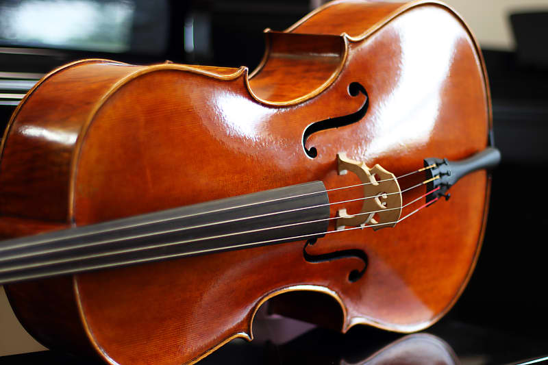 Plum Grove Music Artist Model Cello 4/4 | Reverb