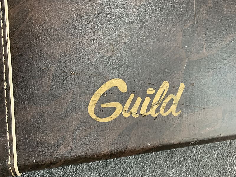 Guild Pilot Bass Case | Reverb