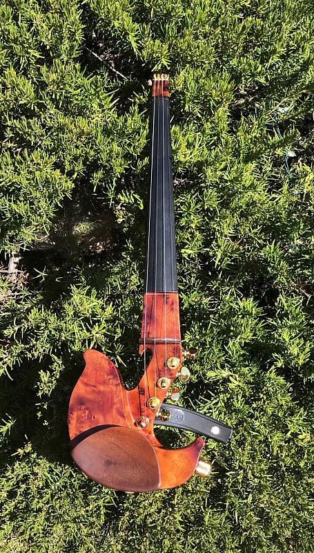 Jordan electric 4-string violin, Camphor Burl with Gold | Reverb