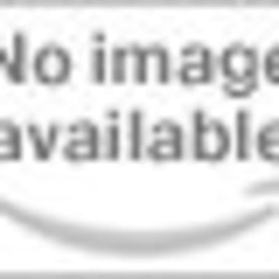 Meinl Hand Held 14 Bell Tree | Reverb