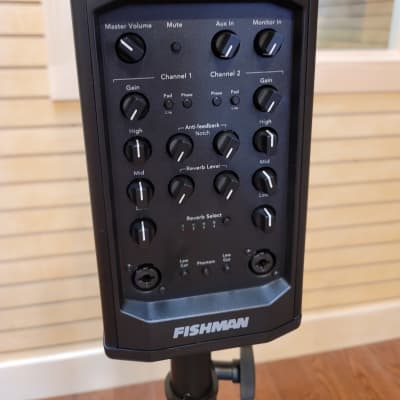 Fishman SA330X PA with Subwoofer, Mixer | Reverb