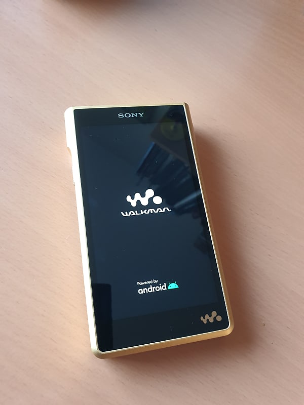 Sony NW1ZM2 2022 (Japanese version) | Reverb