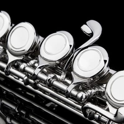 Closed Hole C Flute With Case, Tuning Rod and Cloth, Gloves, | Reverb