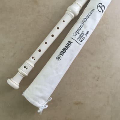 16 Pack 8 Hole Recorder Flute, Plastic Recorders Musical | Reverb