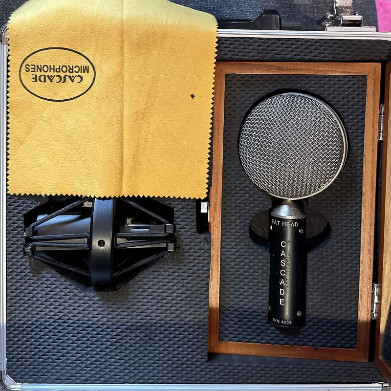 Cascade fathead ribbon mic late 2000's - black | Reverb