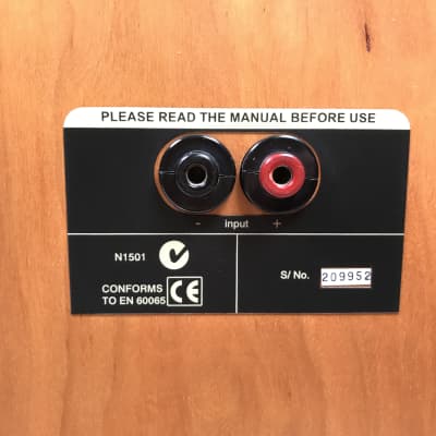 Naim Ariva Floor Standing Speakers | Reverb