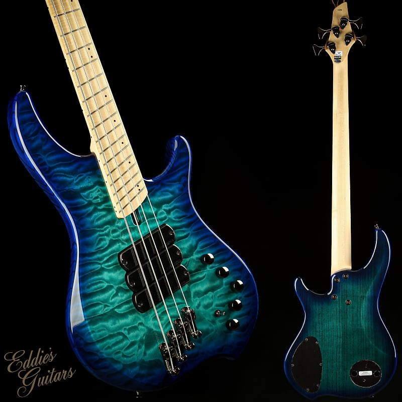 Dingwall Combustion 4 Whalepoolburst | Reverb