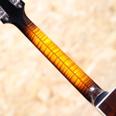 Quint Archtop Octave Mandolin Maple Short Scale Cutaway VS | Reverb