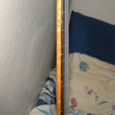 1993 Scott Ambush 5-String Bass | Reverb