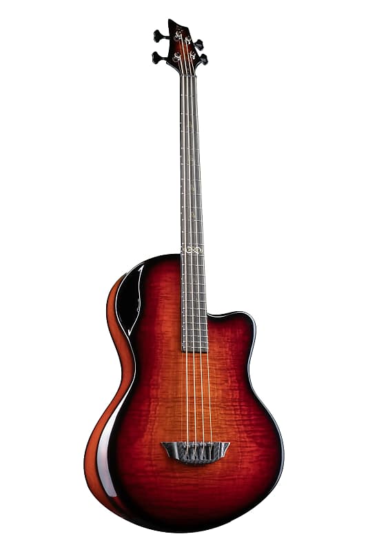 Balor Bass 4-String | Carbon Fiber Acoustic Bass Guitar | Reverb