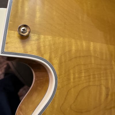 2008 J Triggs Archtop in Vintage Yellow w/OHSC! | Reverb