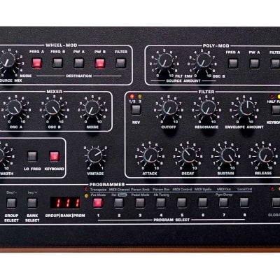 Sequential Prophet 5 Module | Reverb