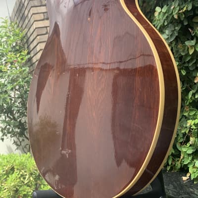 Vantage VSH 455 70s Walnut | Reverb