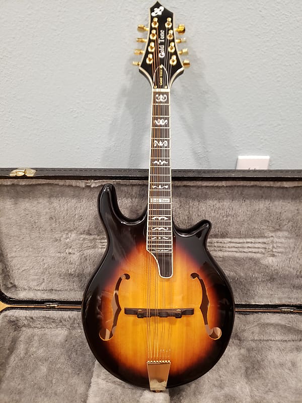 Gold Tone GM-110 Rigel Mandolin hard case and 3 sets strings | Reverb