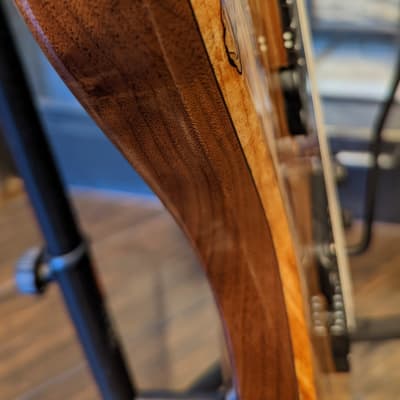 Kiesel DC6x 2019 Upgraded Spalted Maple | Reverb