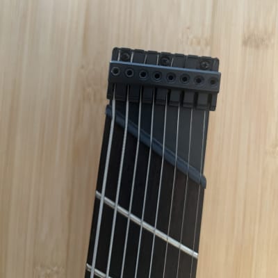 Agile Geodesic Multiscale 8 String 2019ish - Blue flame top | Reverb