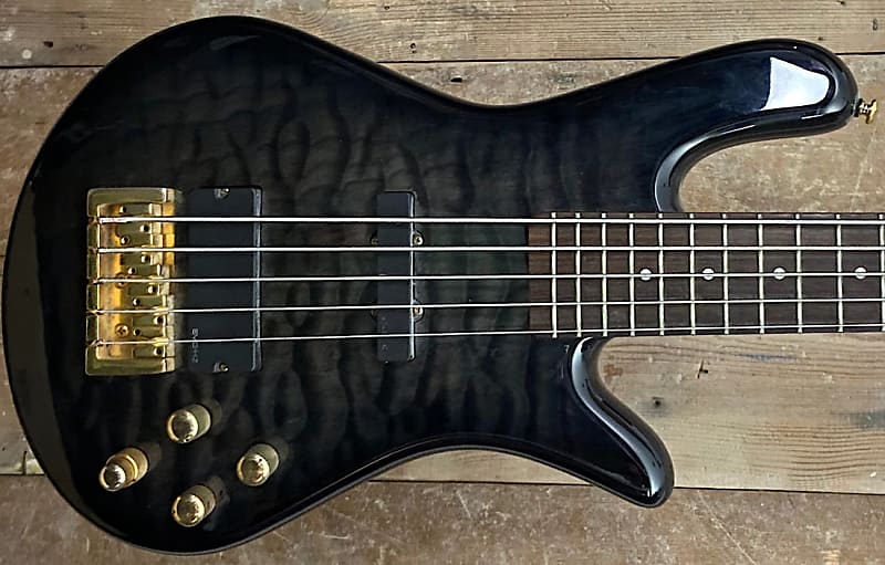 Spector 5 String Bass | Reverb