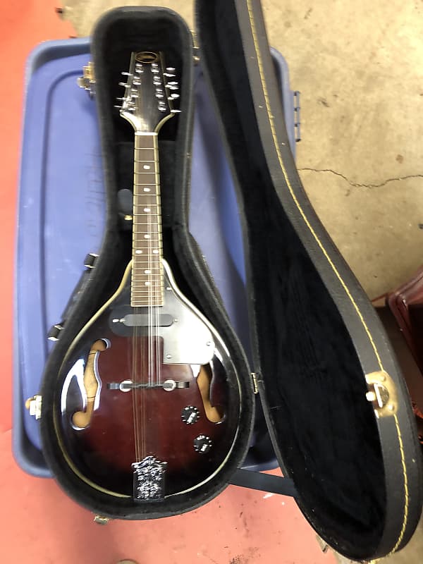 Bestler Electric Mandolin W/Case Blackberry Burst | Reverb
