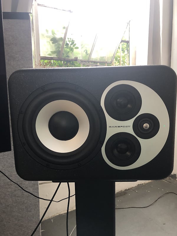 Barefoot MicroMain 45 | Reverb