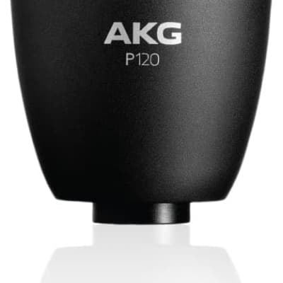 AKG P120 High-Performance General Purpose Recording | Reverb