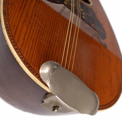 Early 1900's Ditson Conquest John Wanamaker Bowlback Mandolin | Reverb