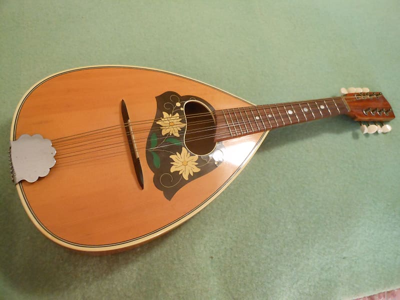 German made FRAMUS Mandolin 1965 - no damage! Beautiful. | Reverb