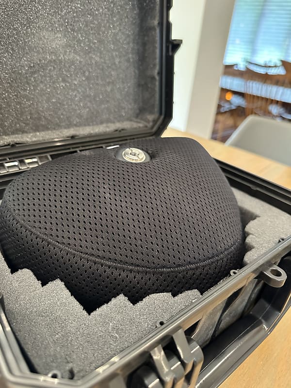 DPA DPA 5100 Mobile Surround Microphone | Reverb