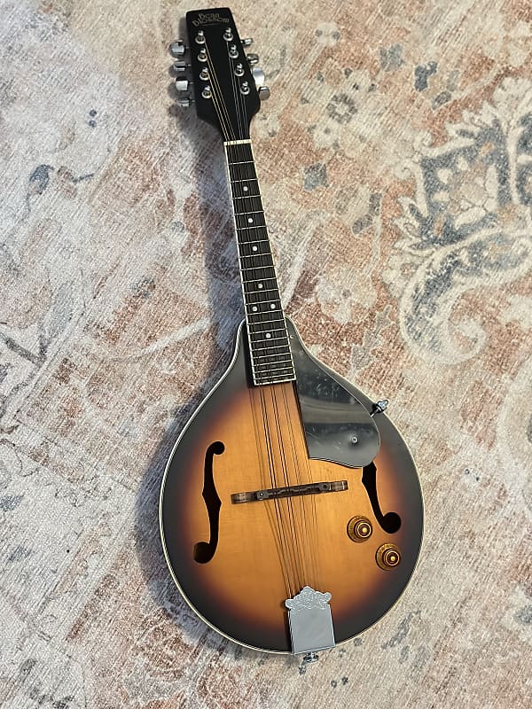 Bean Blossom 6 - String Mandolin 2000’s - Sunburst | Reverb