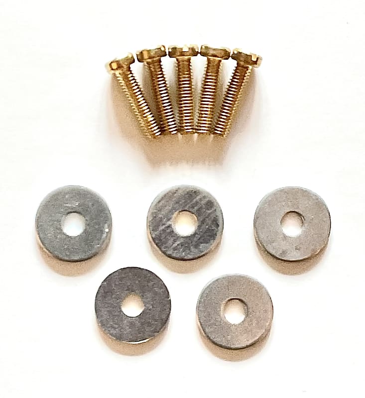 Set of 5 chassis screws (brass) and washers for | Reverb Canada