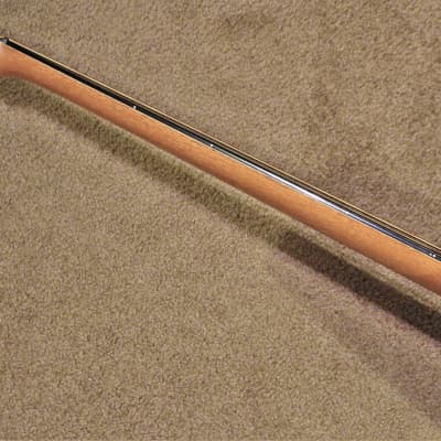 Harry Fleishman 'Dragonfly'. 1995 One of a Kind Acoustic | Reverb