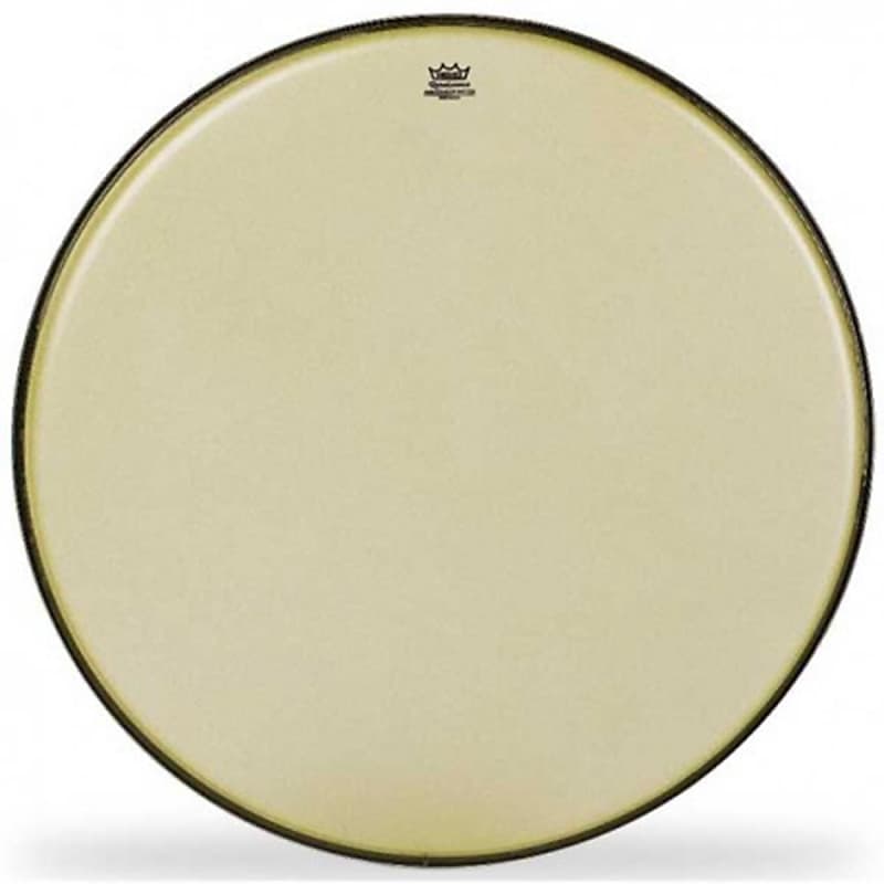 Remo Ra 1022 Ss Pelle Renaissance 22 Cassa Remo | Reverb