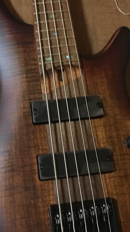 Bartolini BH2 2019 Black | Reverb