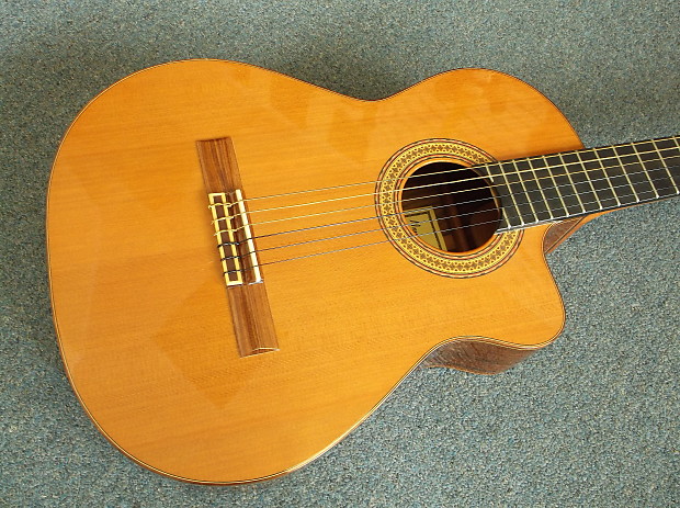 Manuel Raimundo 660-C acoustic/electric classical w/case | Reverb