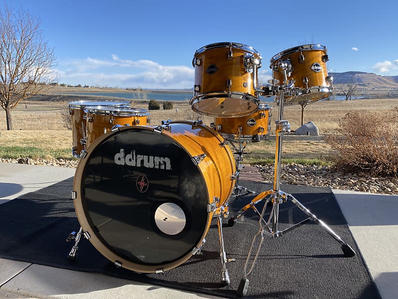 ddrum 6-pc Dominion Series Natural Gloss Drum Kit | Reverb