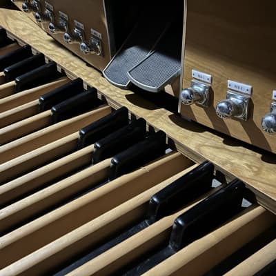 Rogers Alexandria Organ w/ 32-Note Negative Concave | Reverb