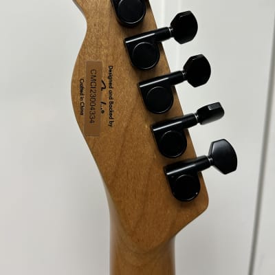 Squier FSR Contemporary Telecaster RH Exotic - Spalted Maple | Reverb