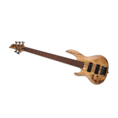 ESP LTD B-205 Left-Handed Bass Guitar - Natural Satin | Reverb