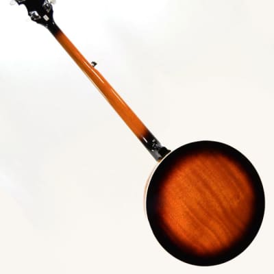 Washburn B10-A 5 String Banjo 2021 | Reverb