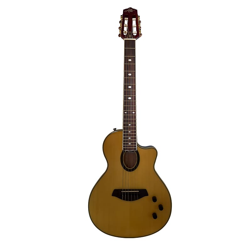 Aslin Dane Icosa nylon string elctric-acoutic guitar - | Reverb