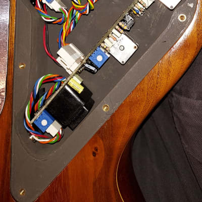 Wal MkII, 5 String Lined Fretless, 2000 American | Reverb Canada