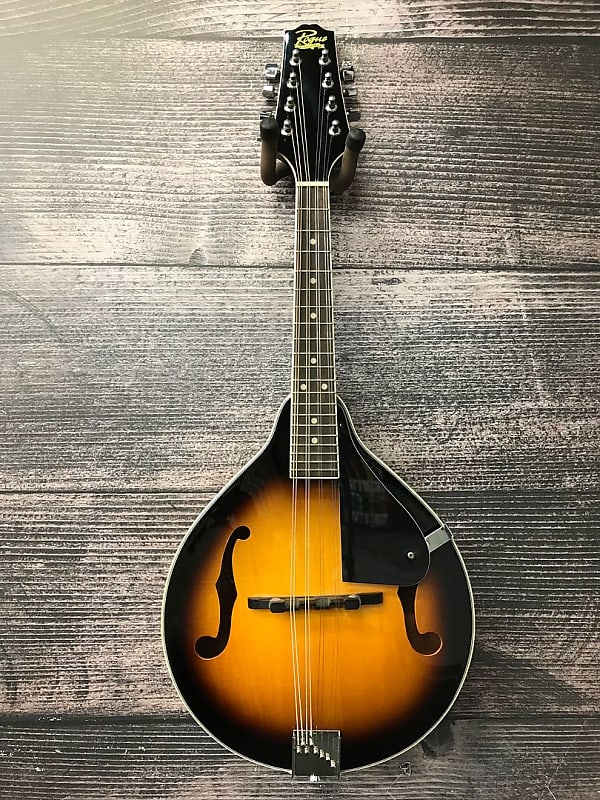rogue RM100A Mandolin (Springfield, NJ) | Reverb