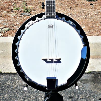 Rogue B30 5-String Banjo | Reverb