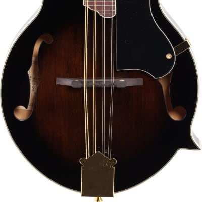 Johnson MF 370 2005 - Dark black F style mandolin | Reverb