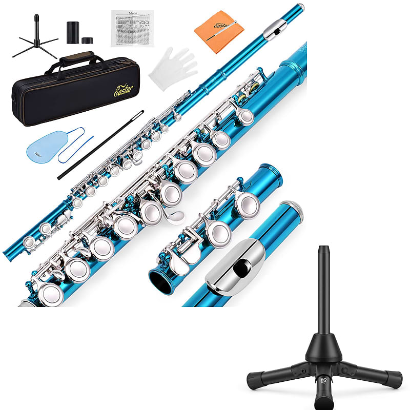 C Flutes Closed Hole 16 Keys Flute Instrument For Beginner | Reverb