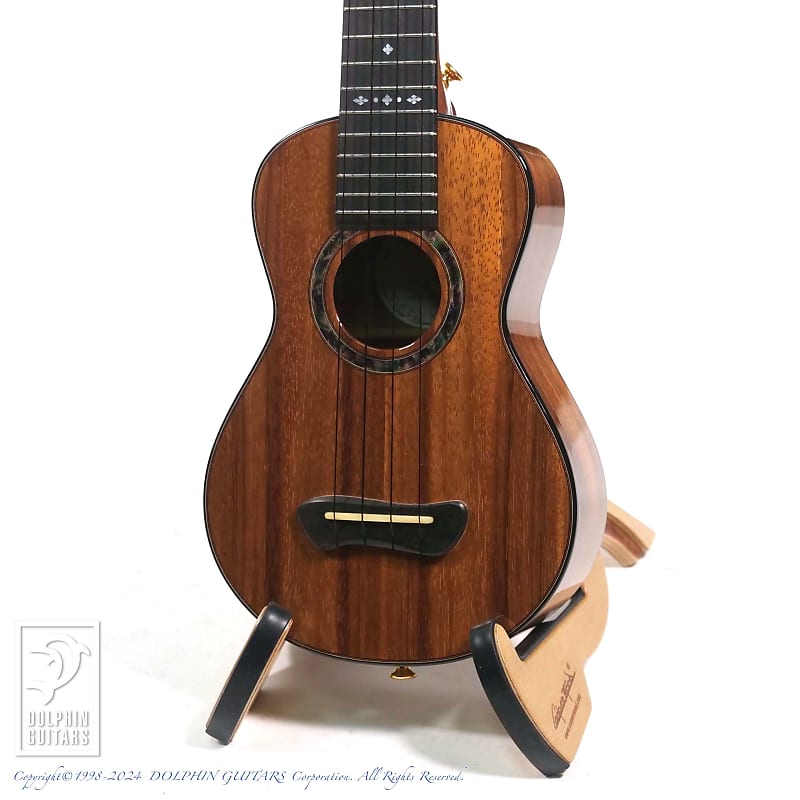 Leaf Instruments Teriha[Pre-Owned] | Reverb