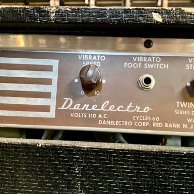 1954 Danelectro Twin Twelve Series D Model 98 | Reverb