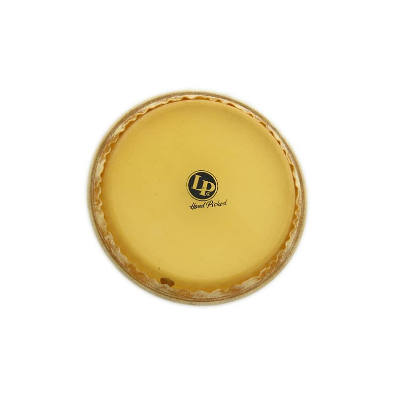 Latin Percussion LP266A Junior Conga Head | Reverb